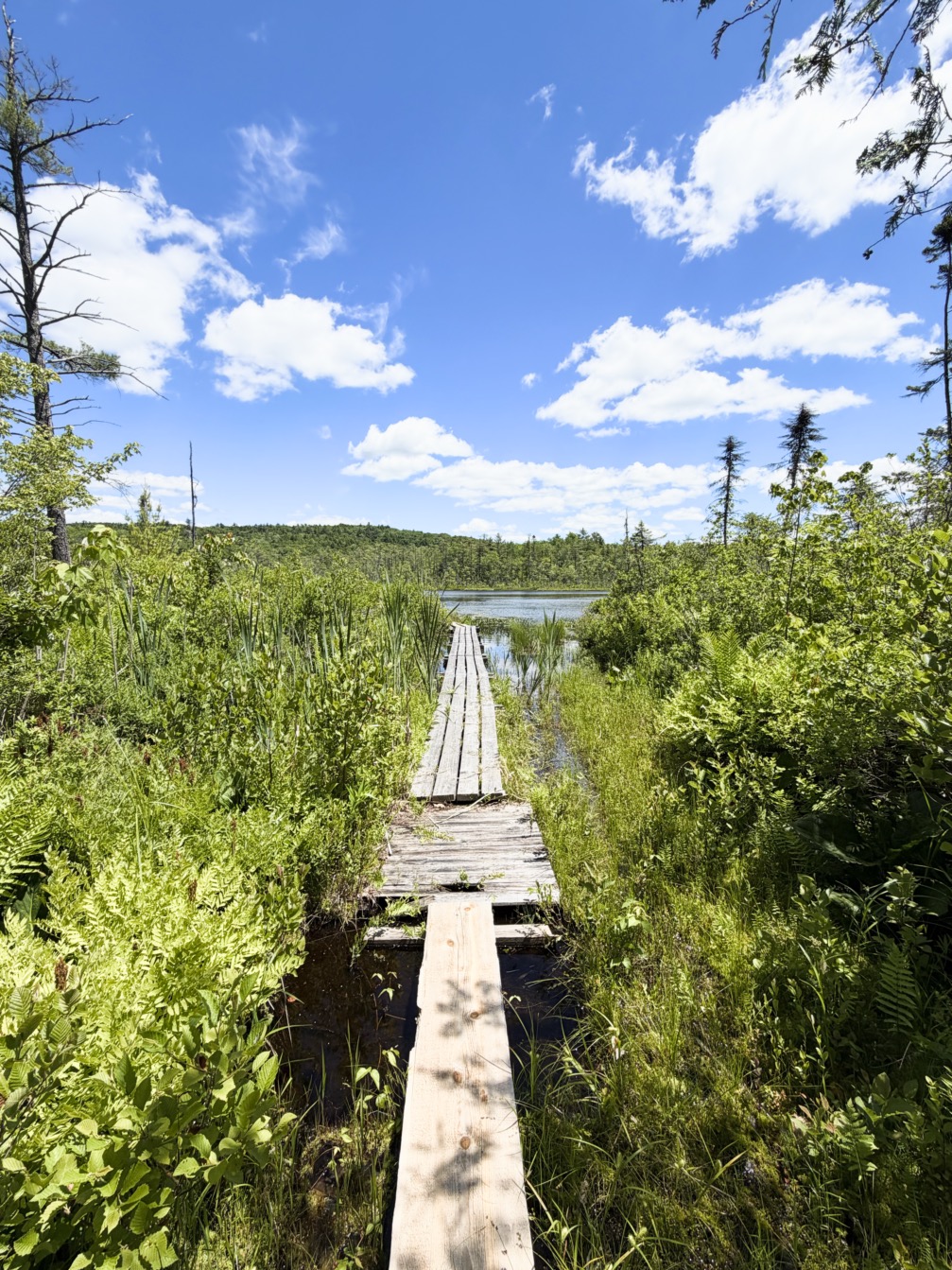 Time to walk the plank – john's f-stop